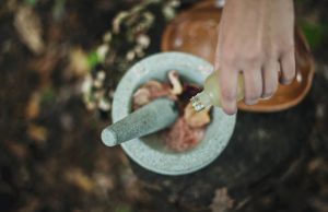 Kadidlovník (Boswellia): Účinky na kĺby - Zdravé kĺby